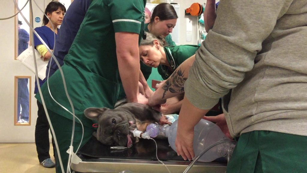 Dealing with the Emergency Presentation - CPD Solutions’ Webinar Club