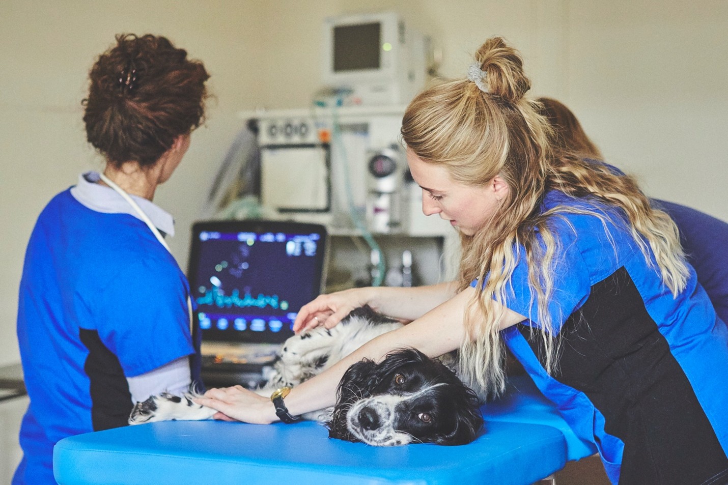 Current Concepts in Cardiology for Advanced Practitioners - CPD ...