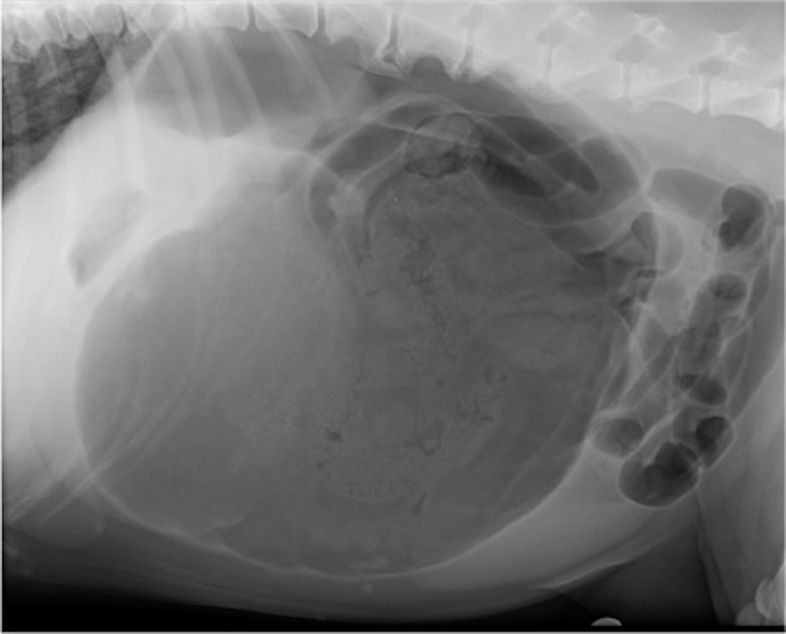 Q1 Imaging for Nurses - CPD Solutions’ Webinar Club